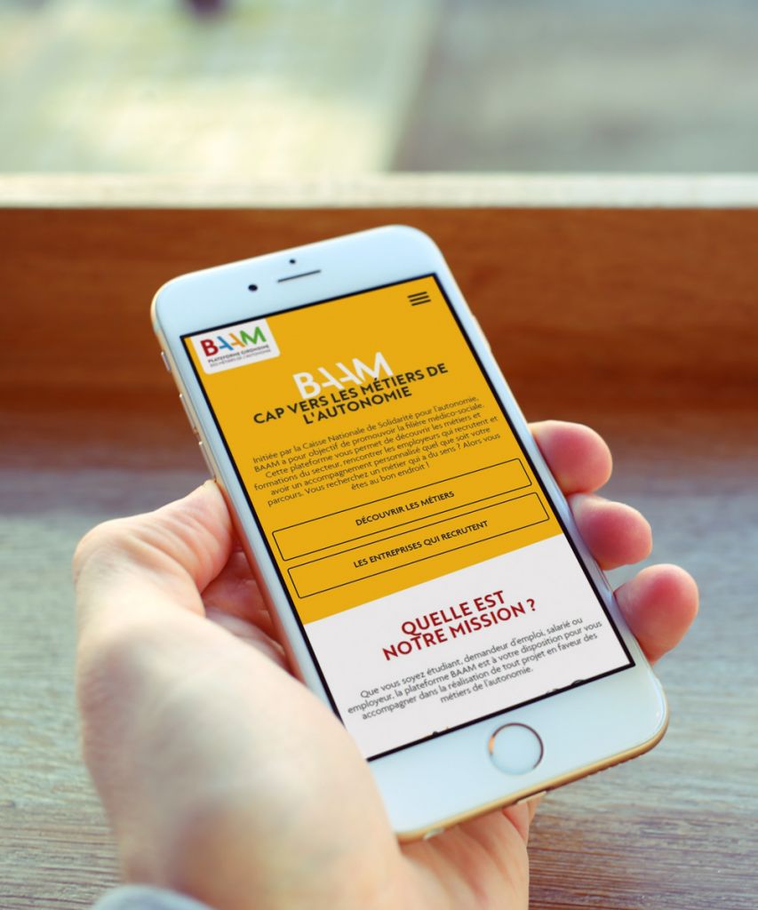 Qu'est-ce que la plateforme BAAM ? – BAAM